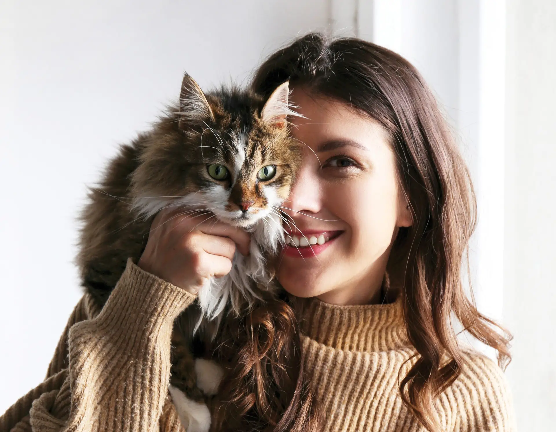 MediPaws | Fees & Payment Options