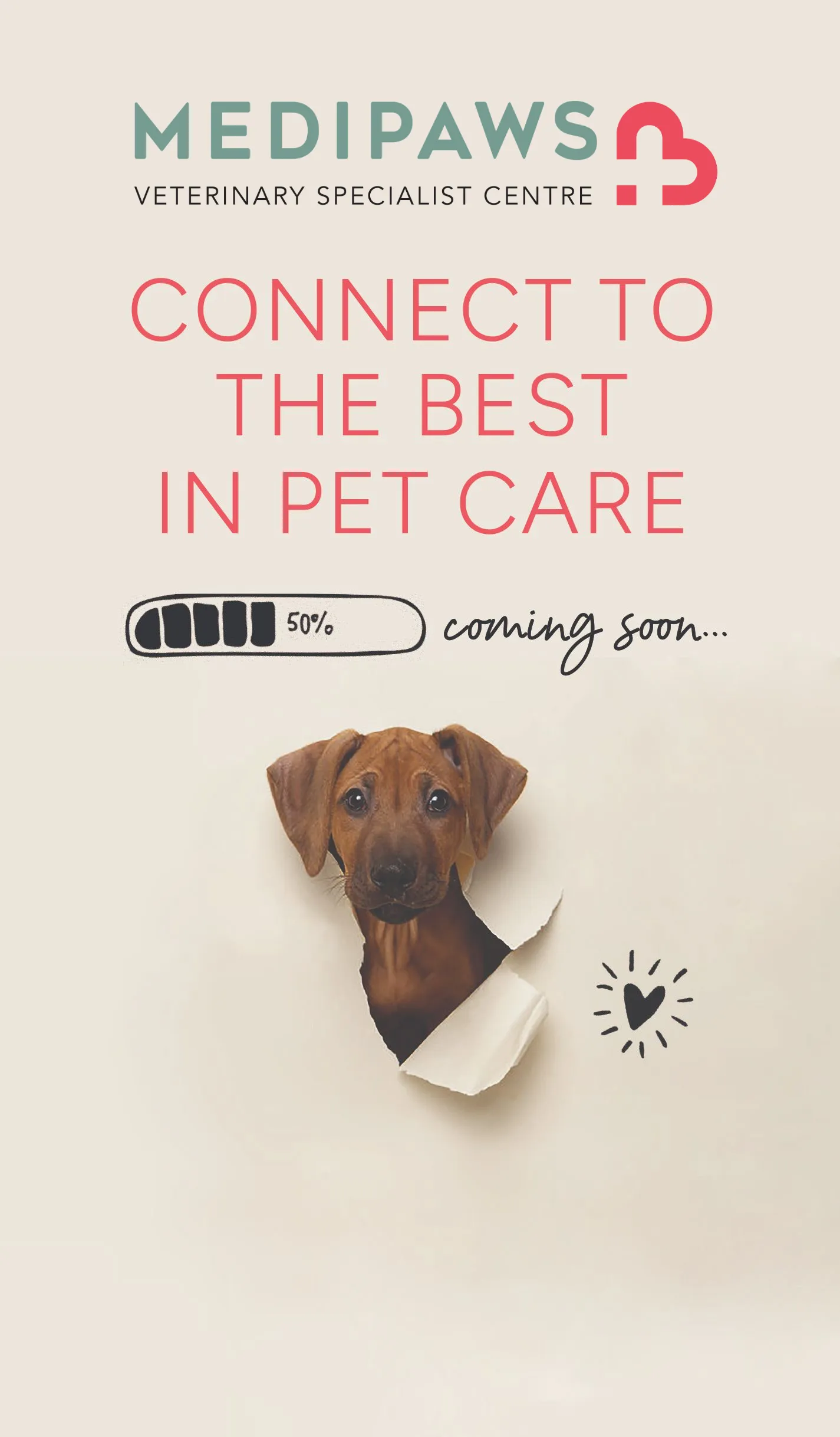 MediPaws Veterinary Specialist Centre – Coming Soon – MediPaws